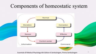 Homeostasis & Steroids - Dr. Shweta Yadav - Oral and Maxillofacial ...