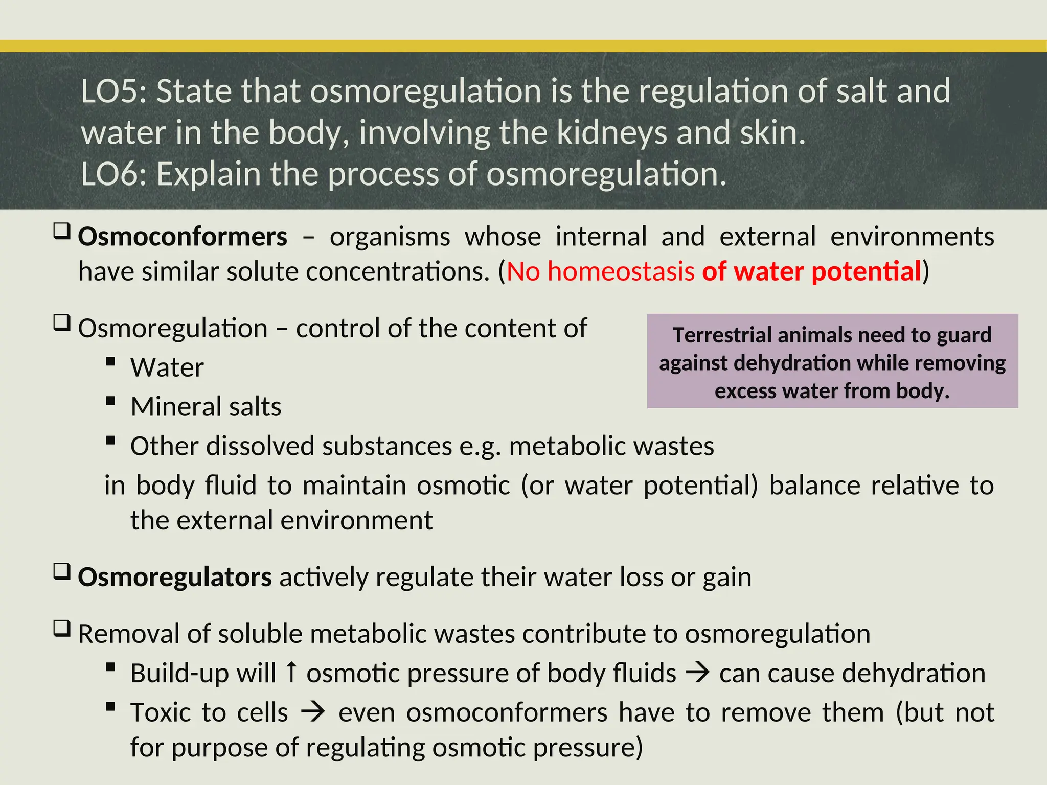 Homeostasis, temperature regulation & excretion.ppt