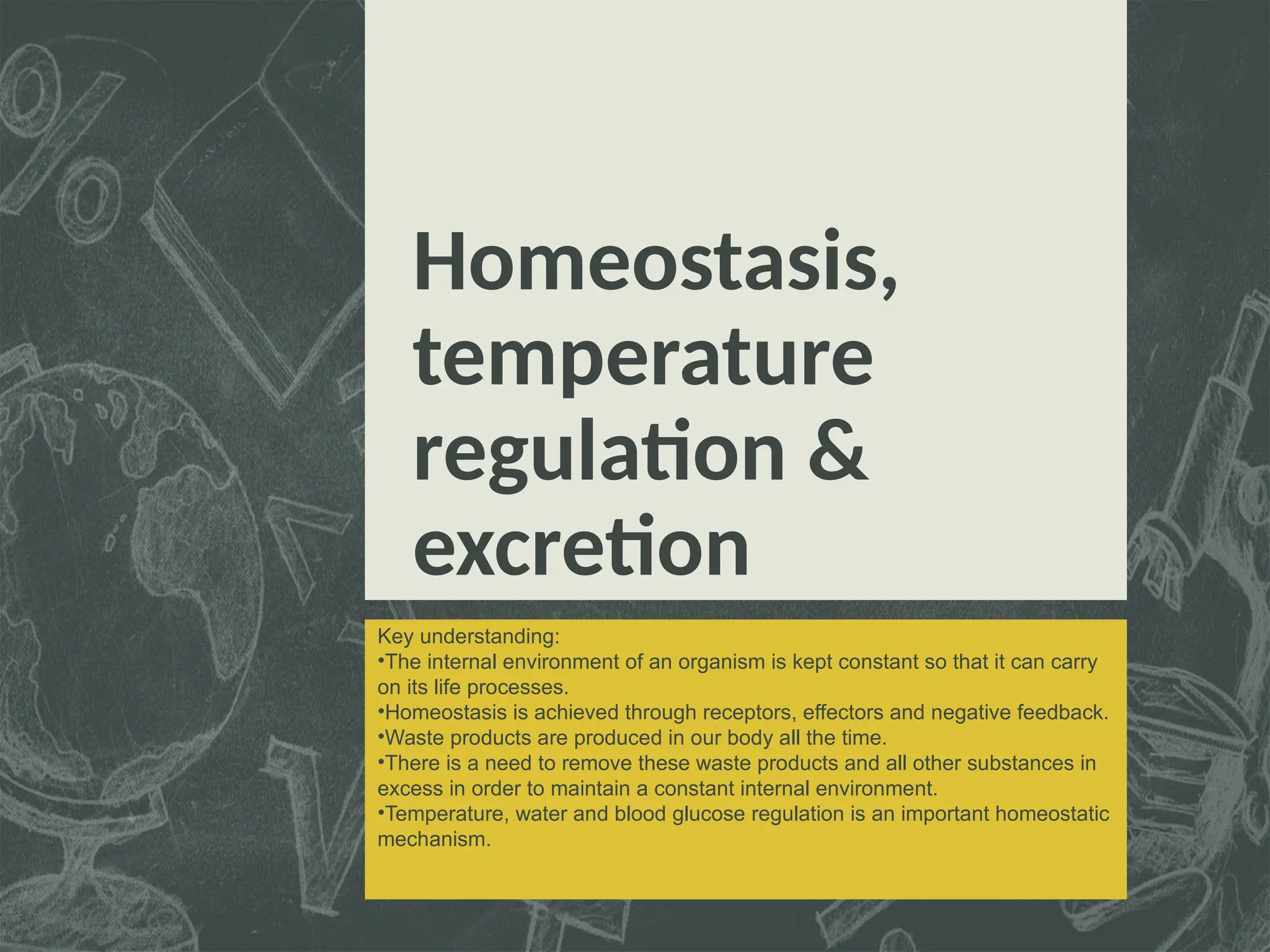 Homeostasis, temperature regulation & excretion.ppt