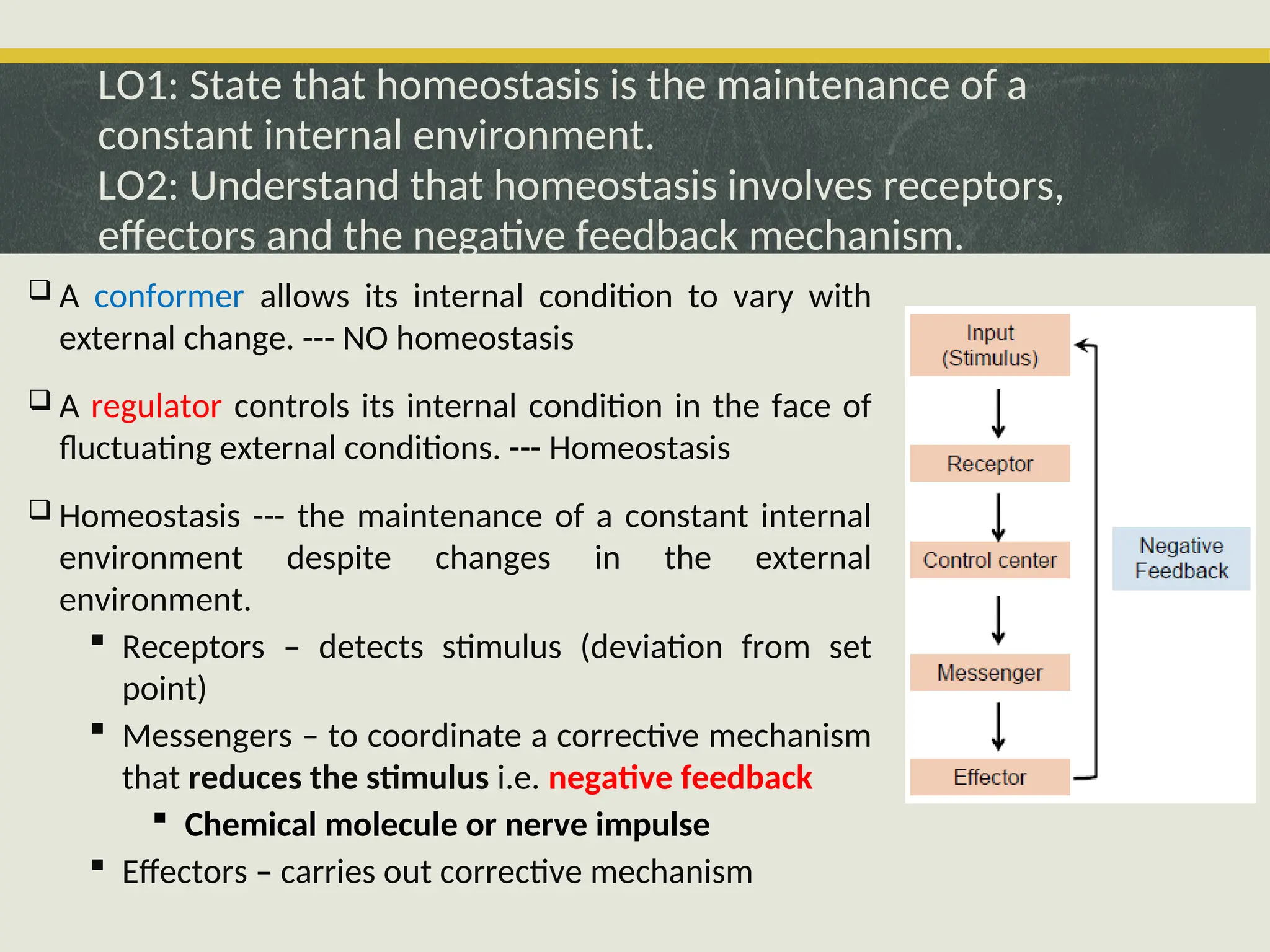 Homeostasis, temperature regulation & excretion.ppt