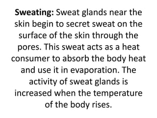 Homeostasis and thermoregulation. | PPTX