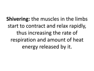 Homeostasis and thermoregulation. | PPTX