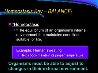 Homeostasis+transport | PPT | Biological Sciences | Science