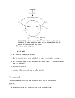 Homeostatis | DOCX | Endocrine and Metabolic Diseases | Diseases and ...