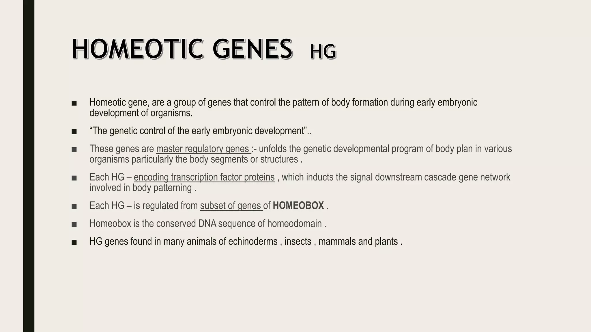 HOMEOTIC GENES.pptx