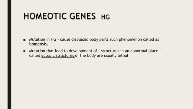 HOMEOTIC GENES.pptx