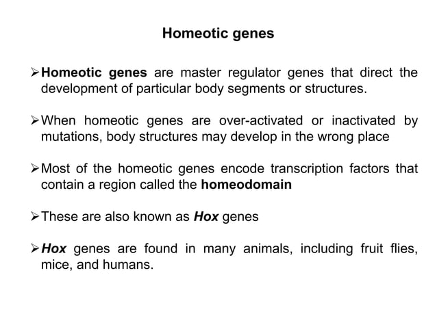 Homeotic Genes and their functions in Drosophila.pptx | Home ...