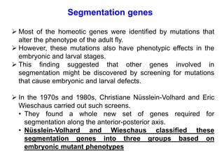 Homeotic Genes and their functions in Drosophila.pptx