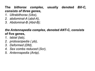 Homeotic Genes and their functions in Drosophila.pptx | Home ...
