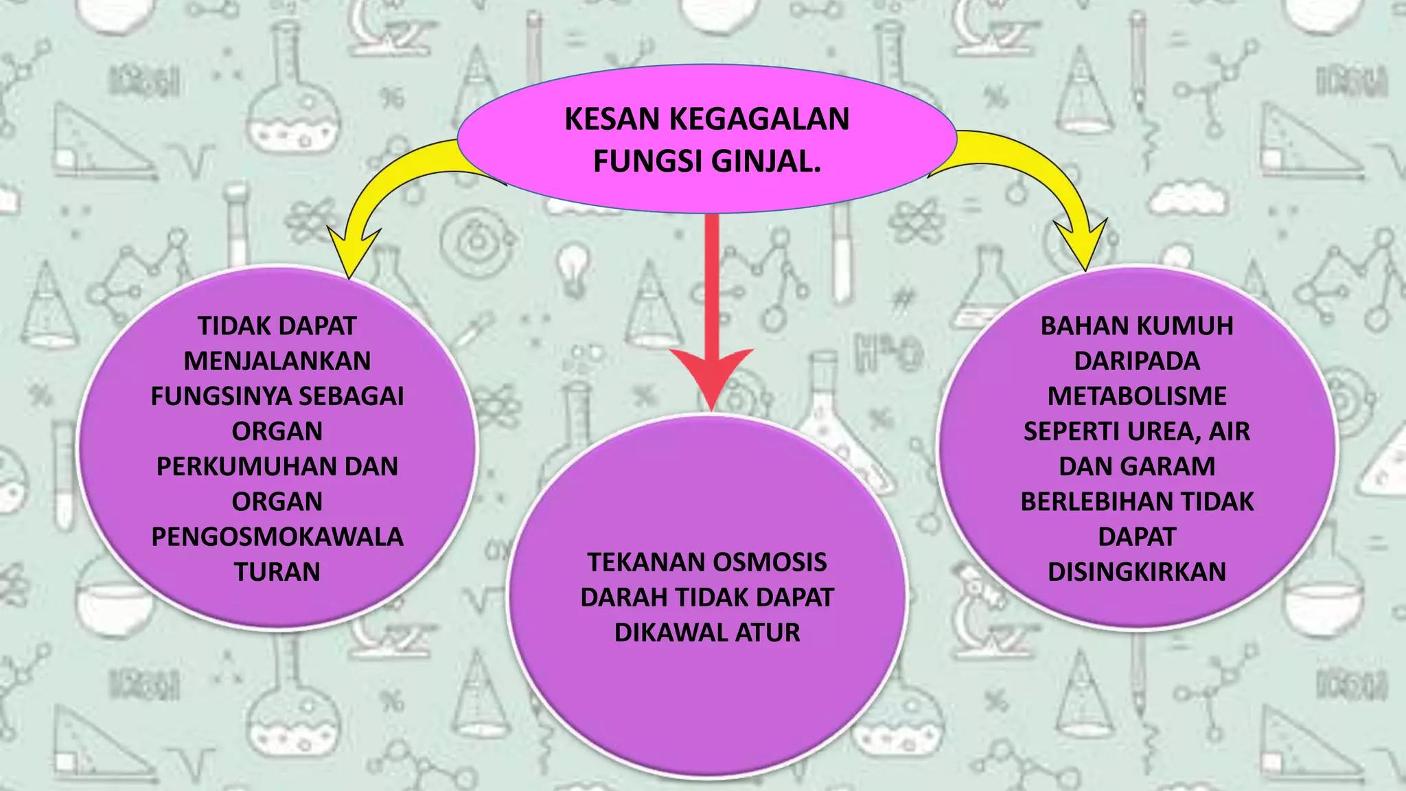 Homeostasis dalam manusia | PPTX