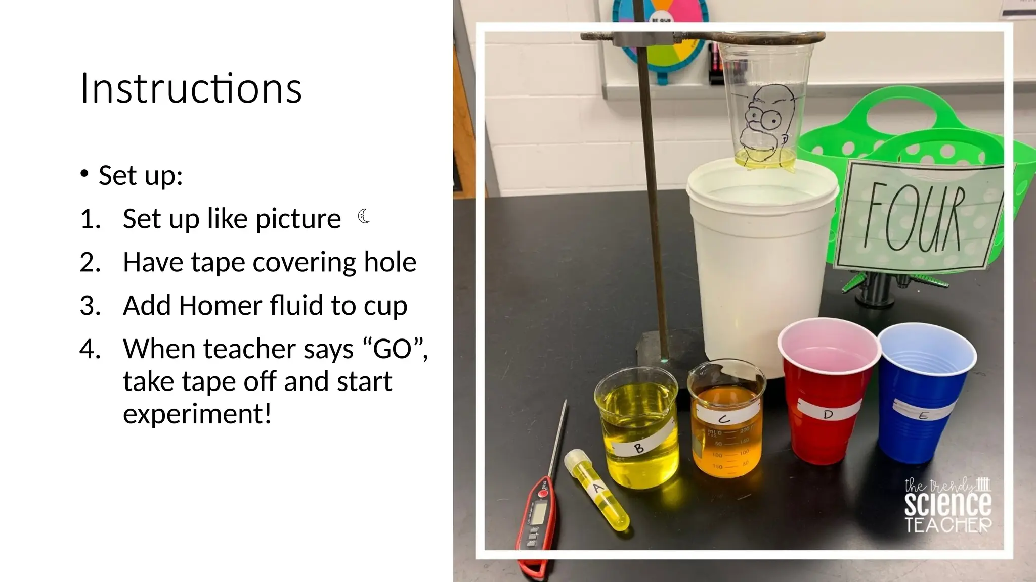 Homer-ostasis - homeostasis experiment.pptx