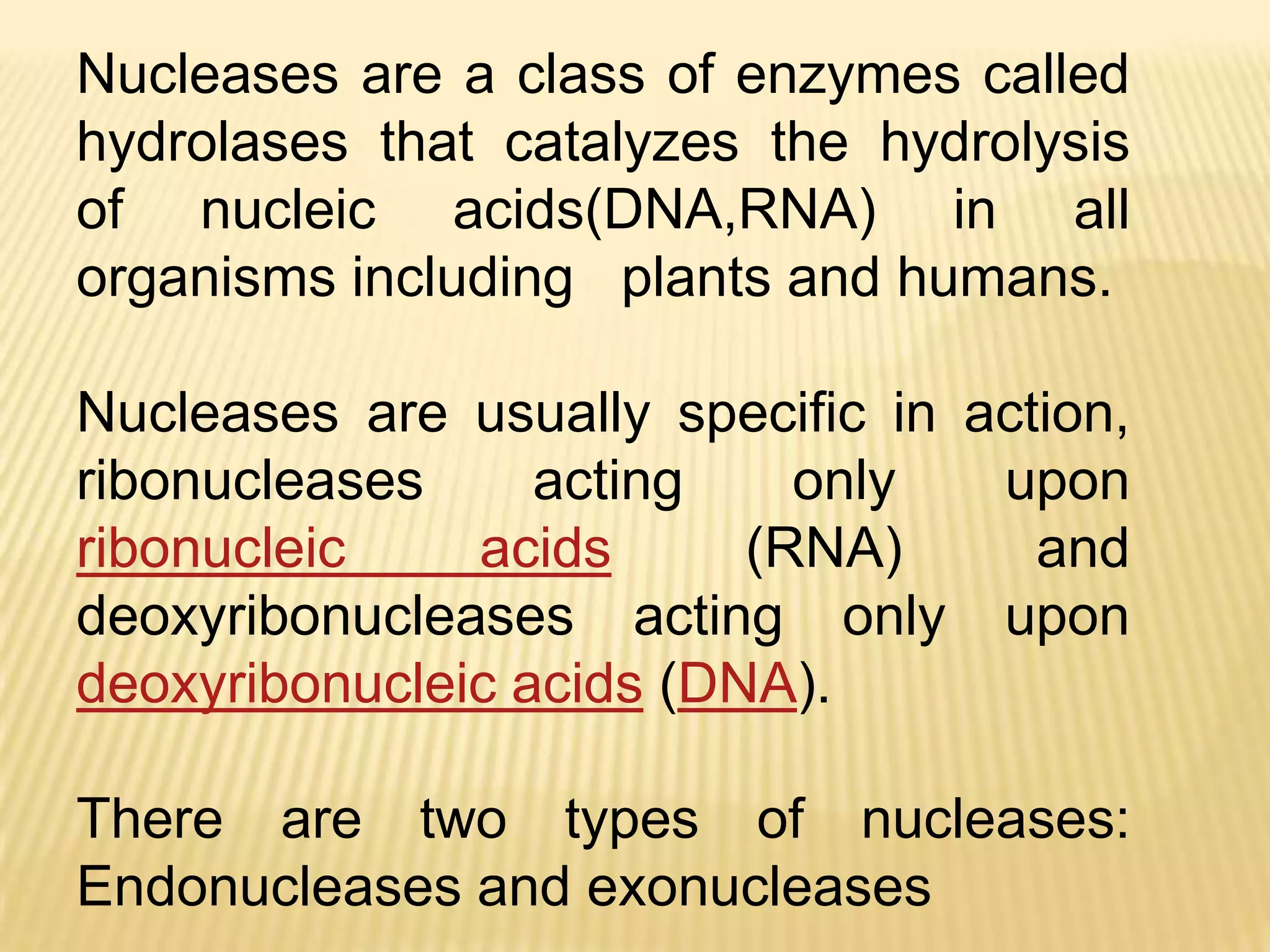/Home/rccuser/nuclease syuva | PPT