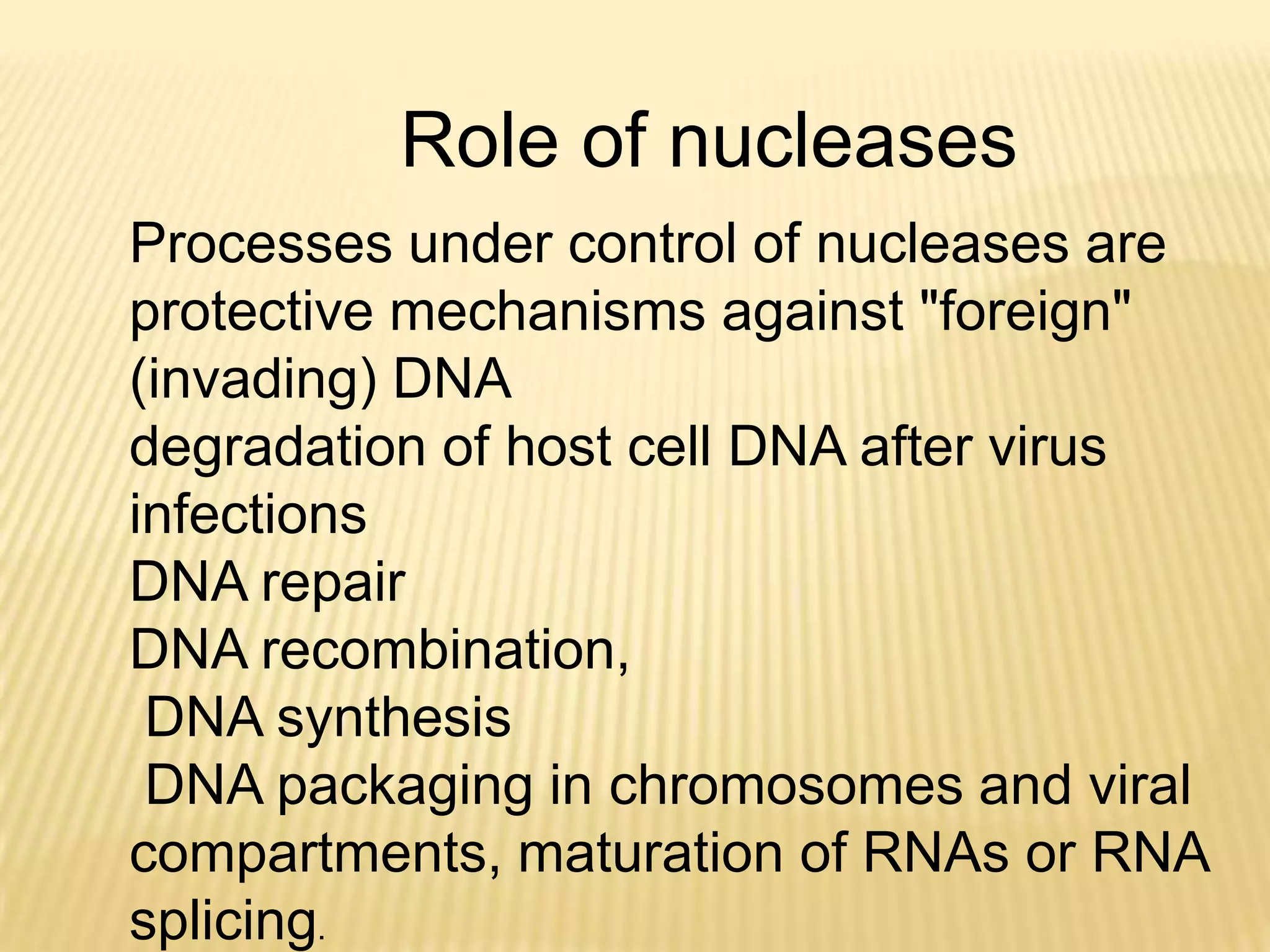 /Home/rccuser/nuclease syuva | PPT