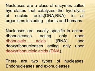 /Home/rccuser/nuclease syuva | PPT