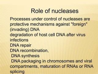 /Home/rccuser/nuclease syuva | PPT