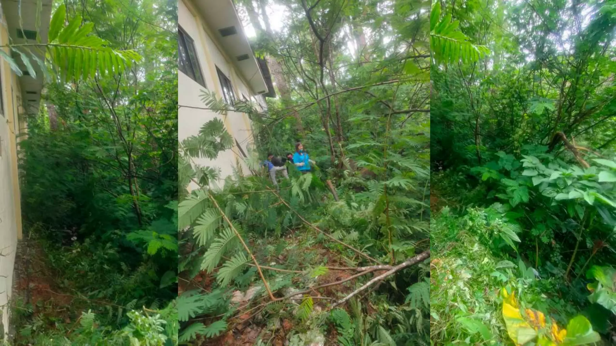 HOMEROOM PTA MEETING.pptx