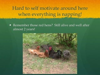 Homesteading | PPT