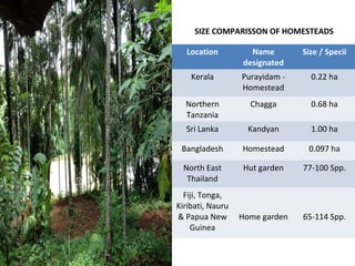 Homesteads of kerala | PPT