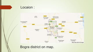 Home Town - Bogra | PPT