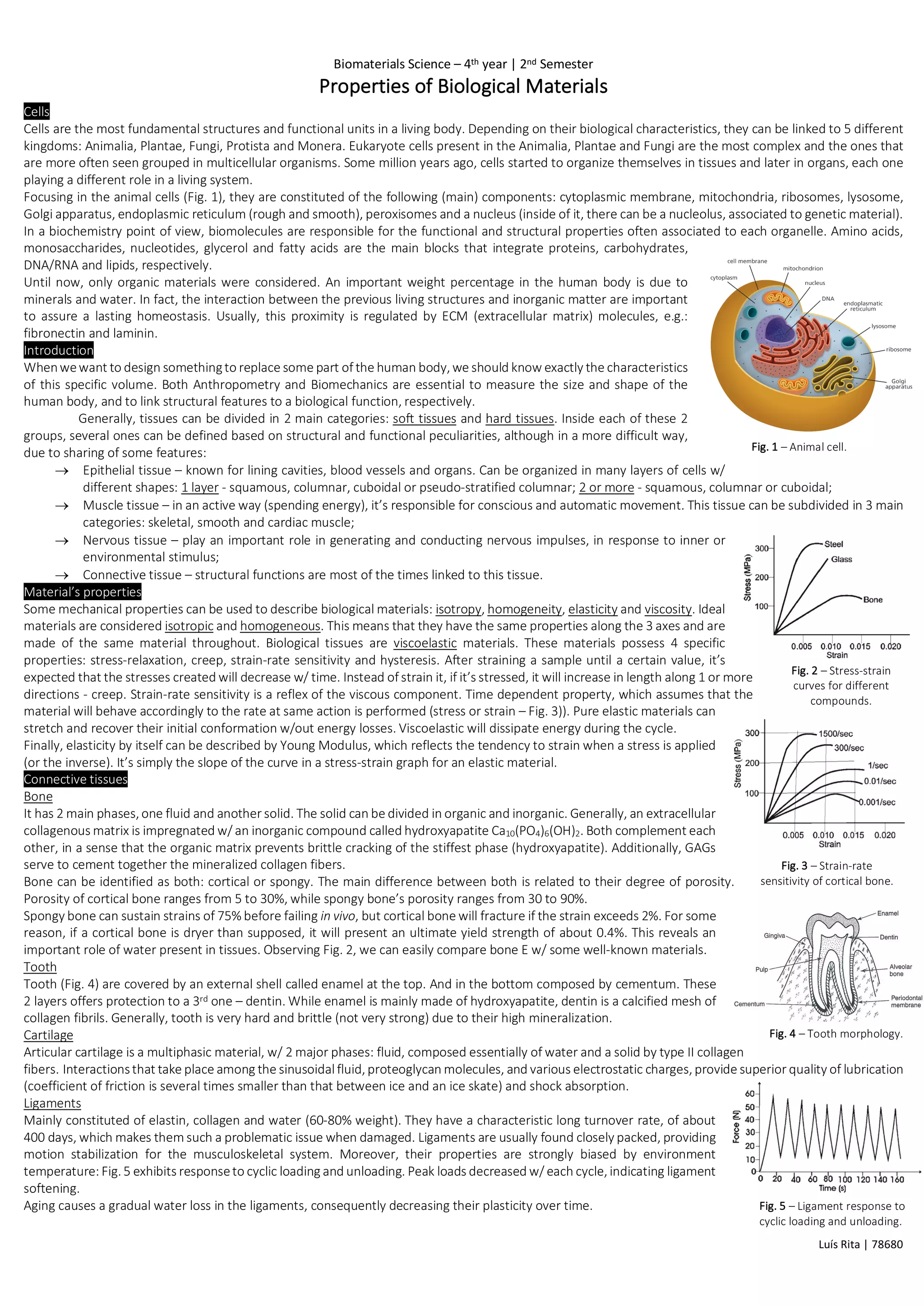 Properties of Biological Materials | PDF