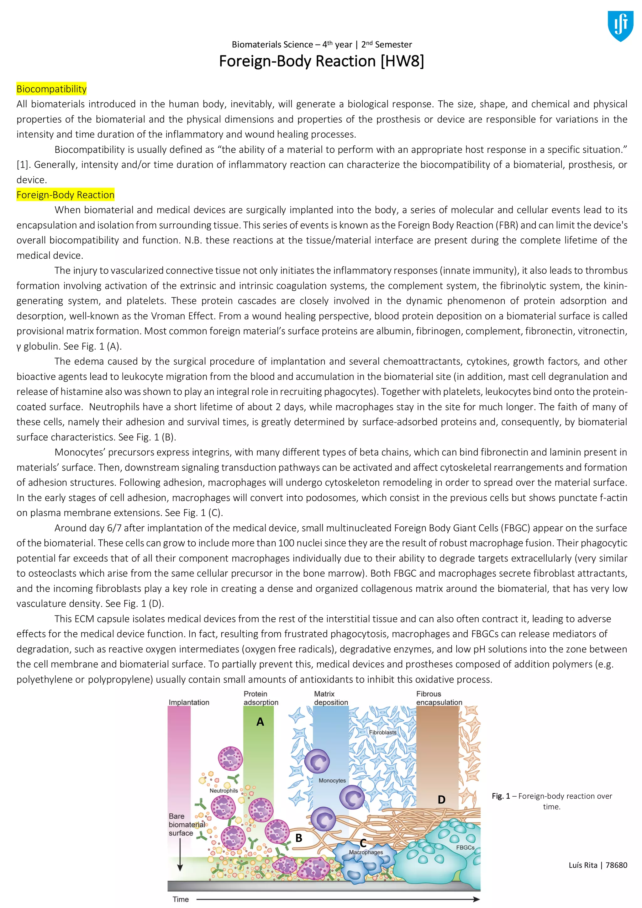 Foreign - Body Reaction | PDF
