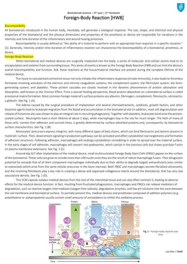 Foreign - Body Reaction | PDF