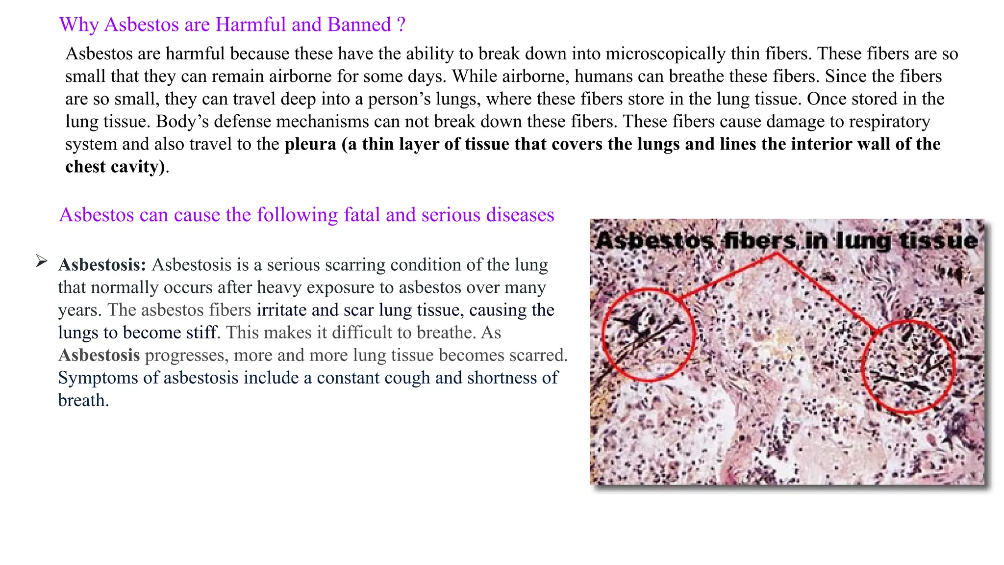 Homework_Asbestos and their harm full effects.pptx
