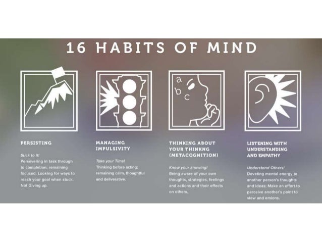 Habits of Minds Infographic