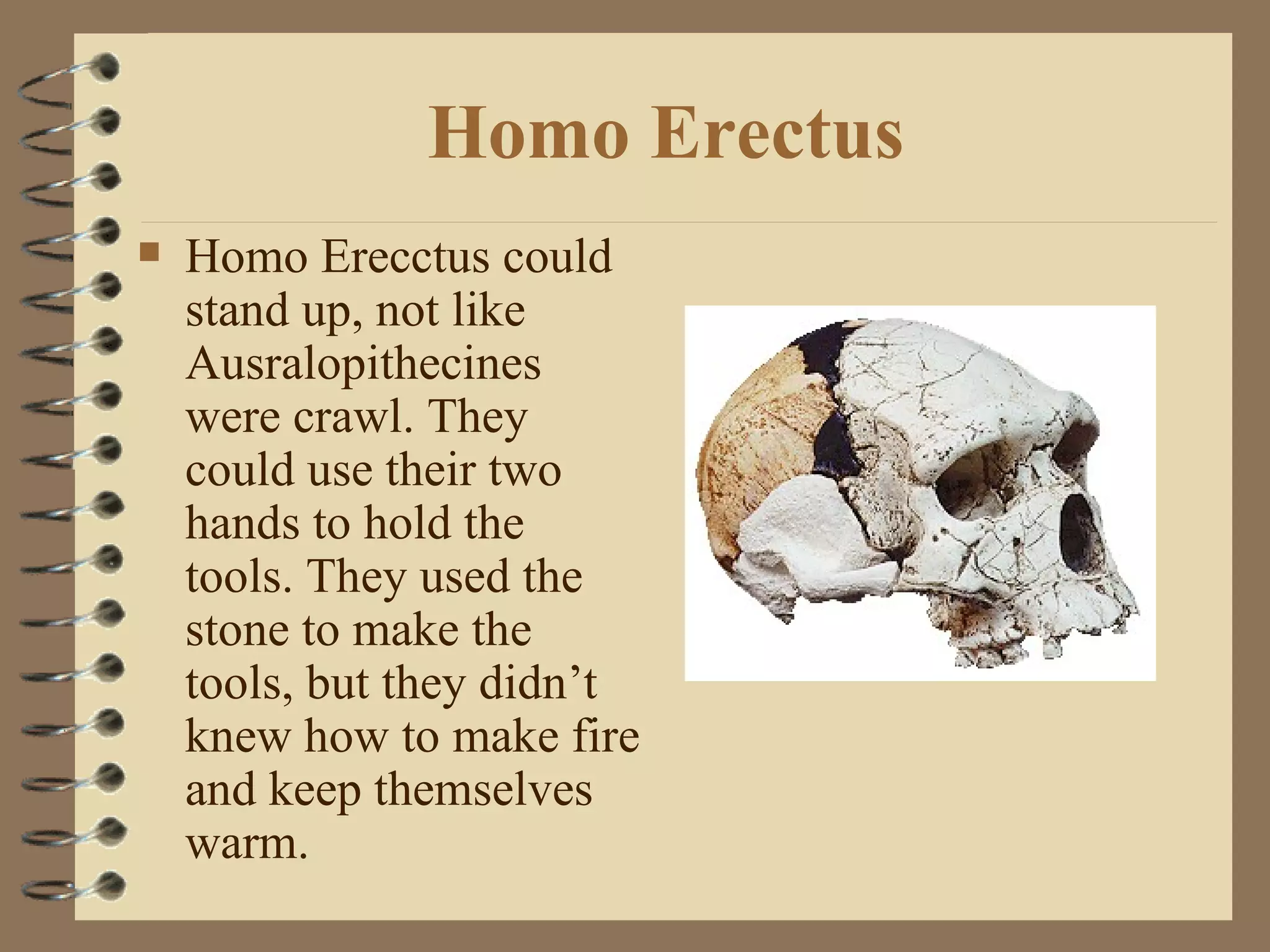 Hominid | PPT