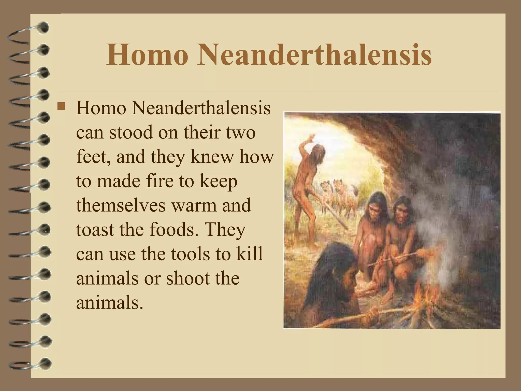 Hominid | PPT