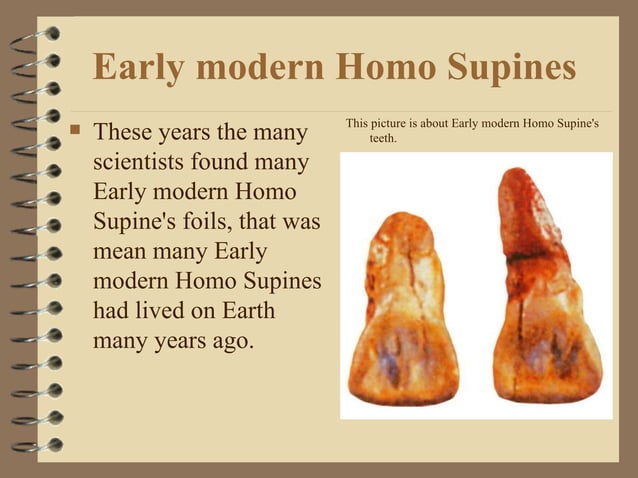 Hominid | PPT | Geology | Science