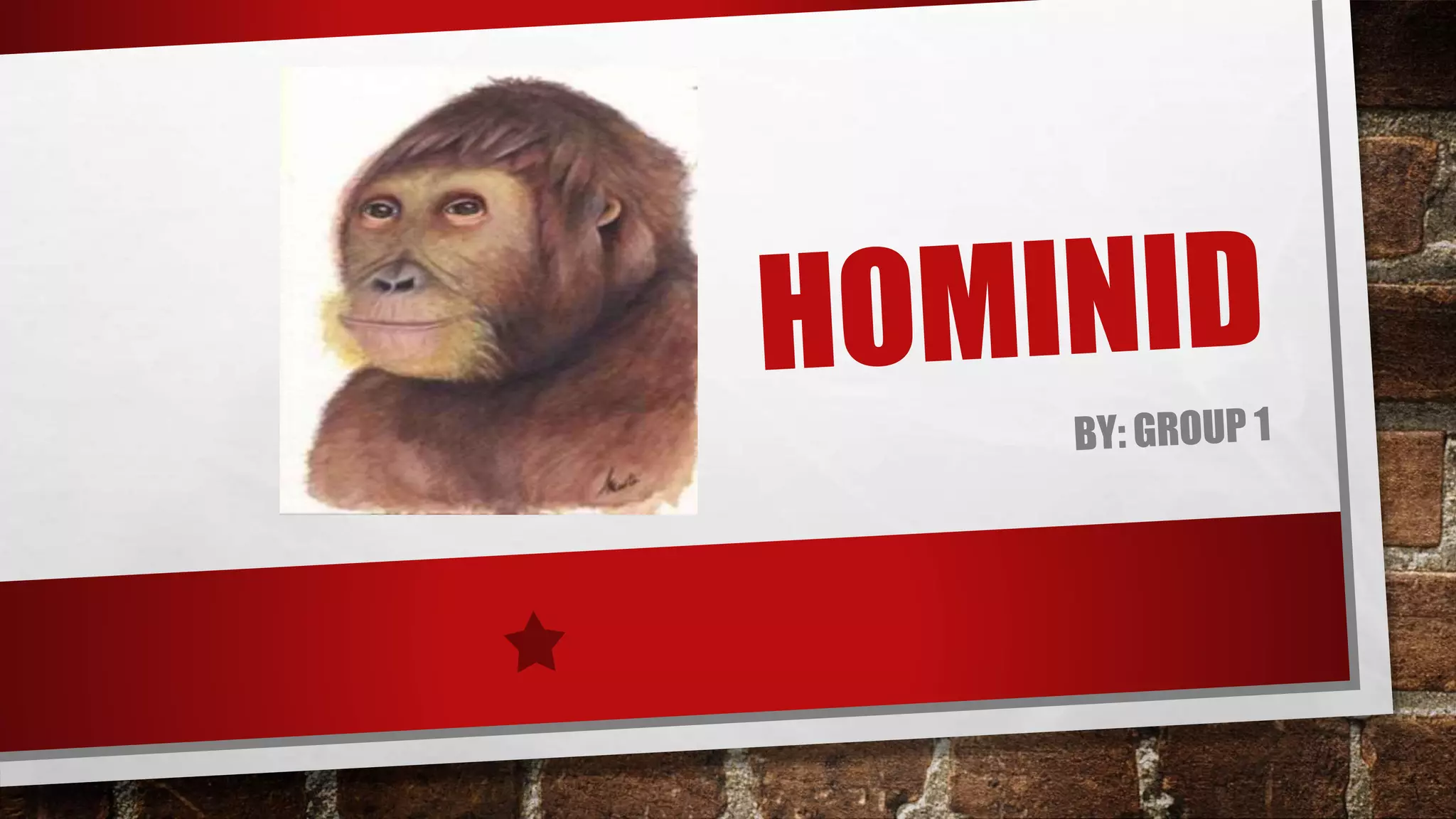 Hominid | PPTX