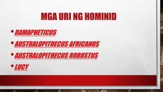 Hominid | PPTX