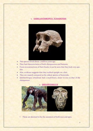 Hominid 2 | DOCX