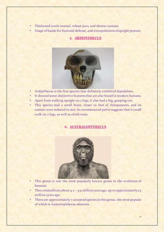 Hominid 2 | DOCX