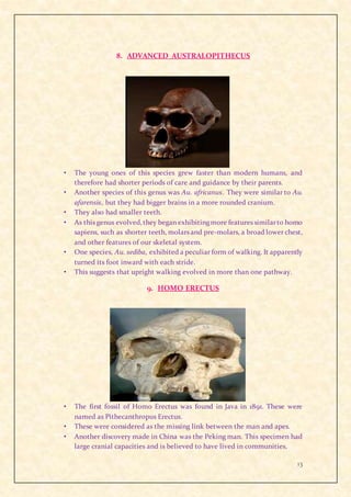 Hominid 2 | DOCX