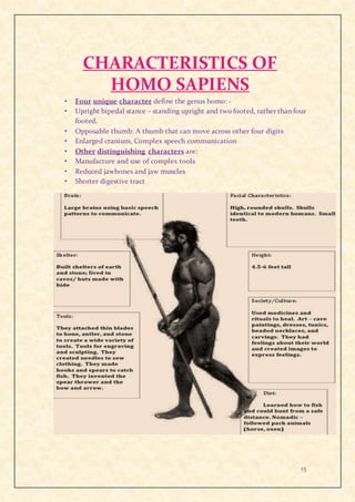 Hominid 2 | DOCX