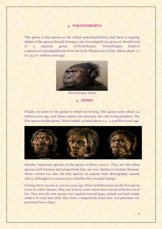 Hominid 2 | DOCX