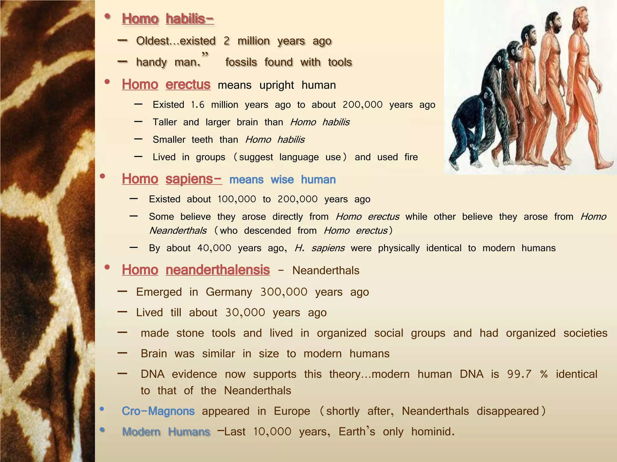 Hominid evolution part | PDF | Biological Sciences | Science