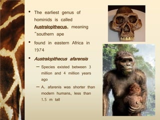 Hominid evolution part | PDF | Biological Sciences | Science