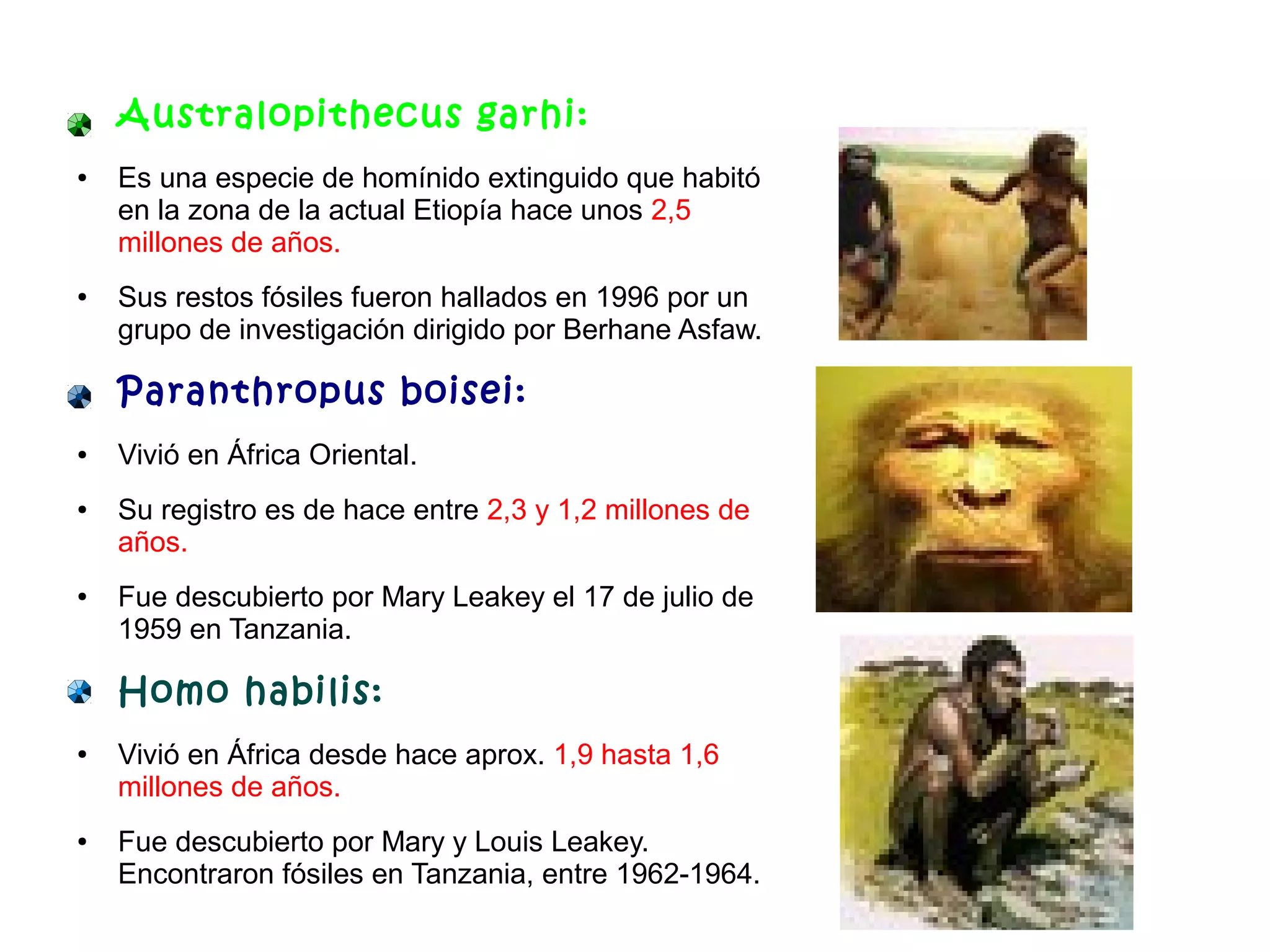 HOMINIDOS (Origen del ser humano) | ODP