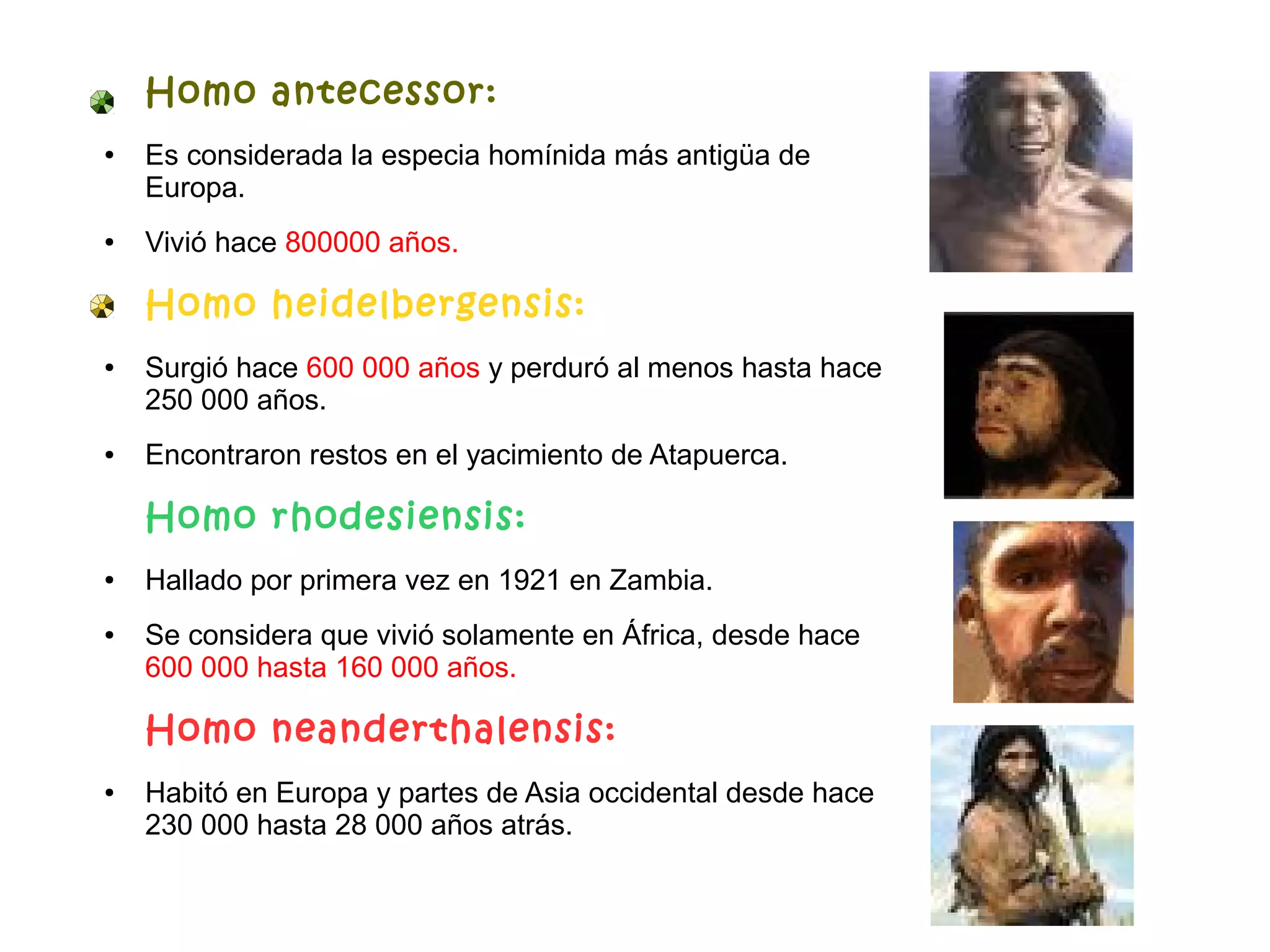 HOMINIDOS (Origen del ser humano) | ODP