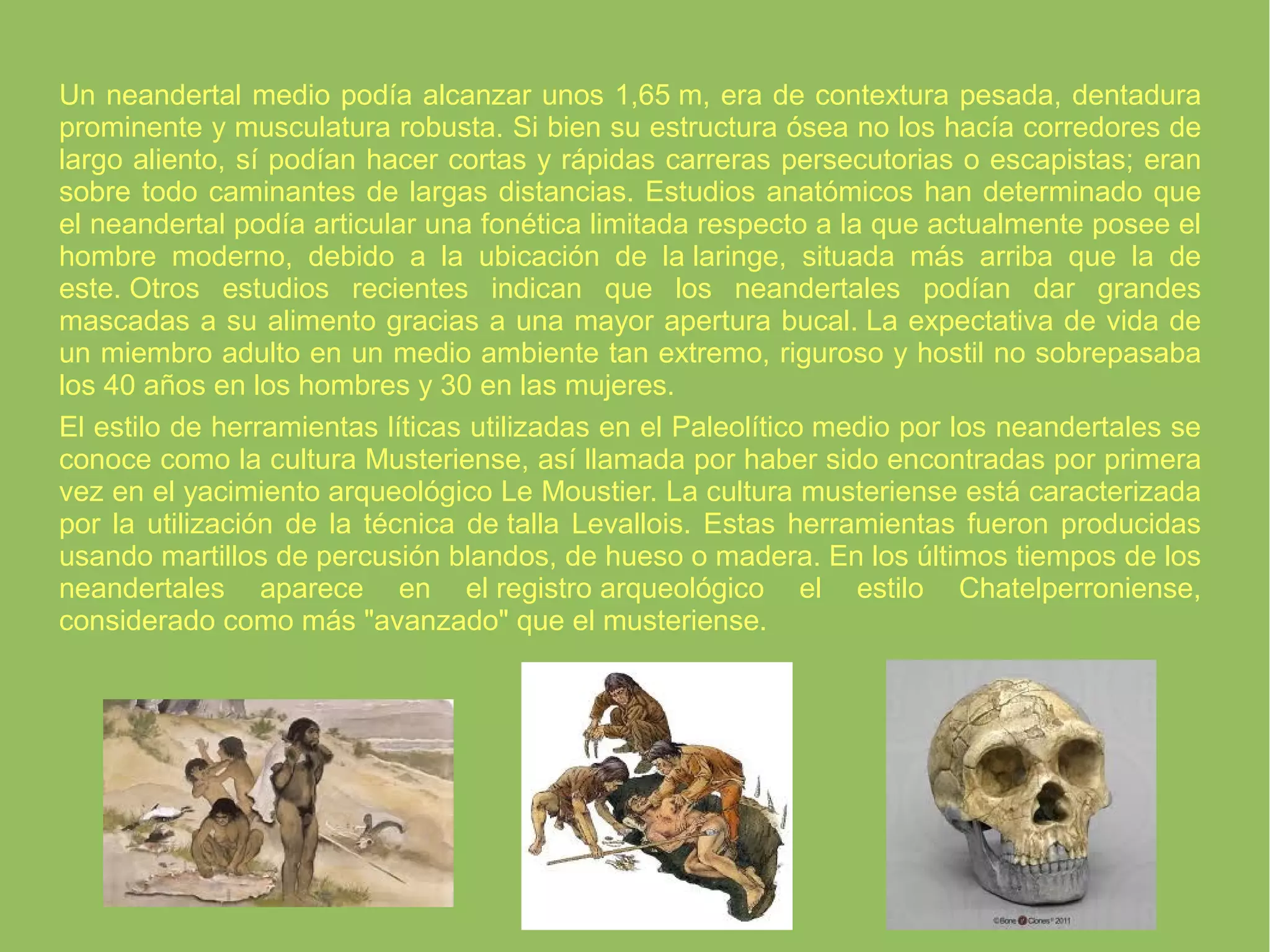 HOMINIDOS (Origen del ser humano) | ODP