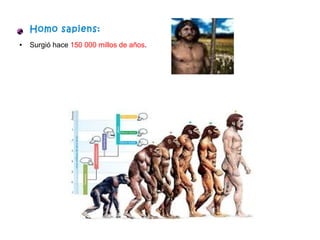 HOMINIDOS (Origen del ser humano) | ODP