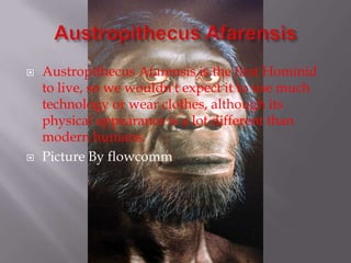 Hominid power point | PPTX