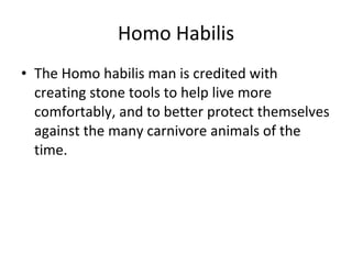 Hominid tools | PPT