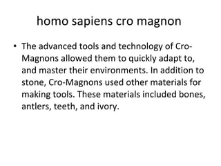 Hominid tools | PPT