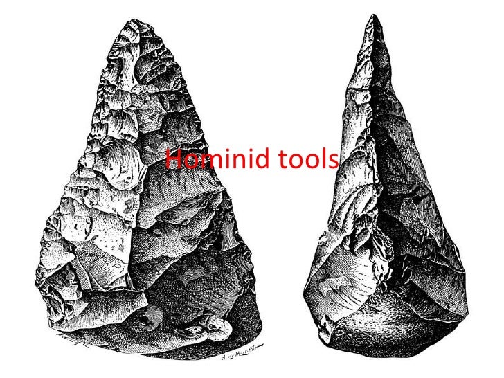 Early Hominids Tools 3.3-million-year-old stone tools overturn ...