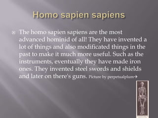 Hominid tools | PPTX | Arms & Ammunition | Sensitive Topics