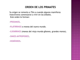 Hominización | PPSX